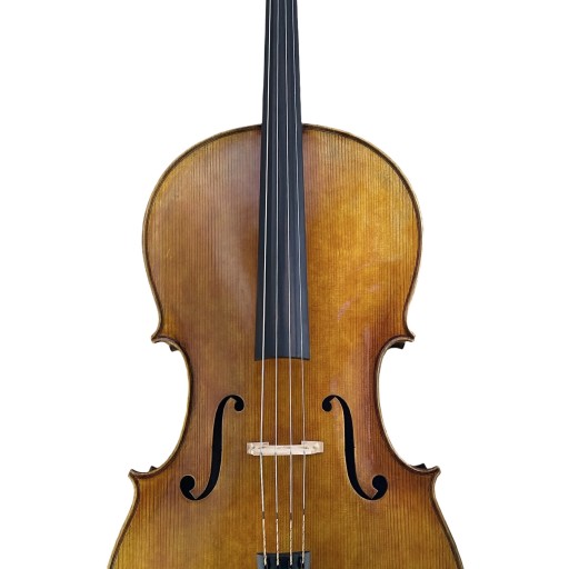 Bristol Violin Shop | Contemporary Chinese Cello